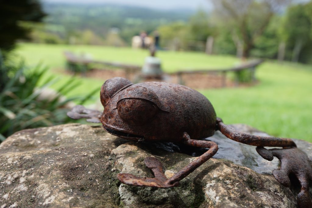 Rust frog